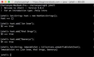 Java 9 – Factory methods to create Immutable Set